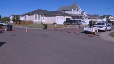 Joshua Petrin’s legal bills paid by public funds to ensure fair trial ...