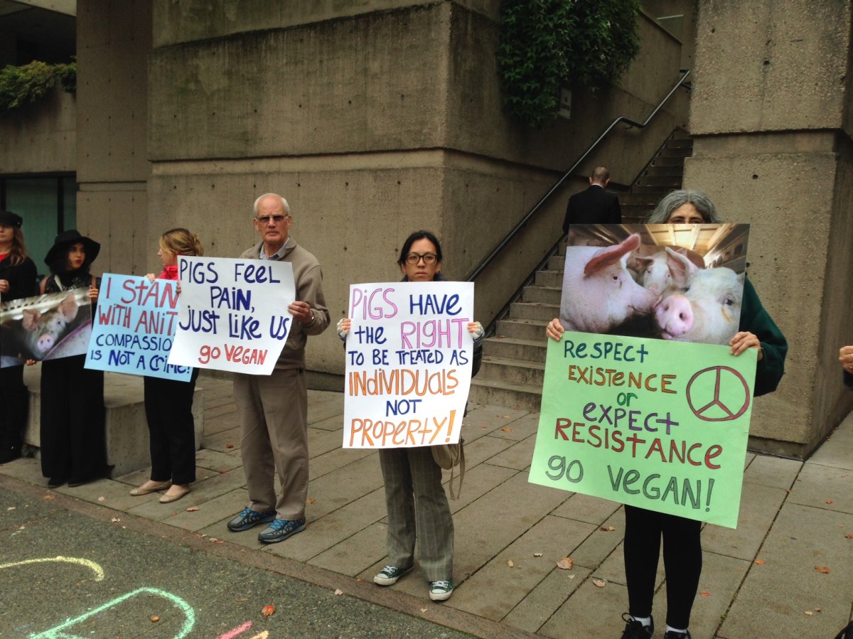Vancouver animal rights activists gather in support of Ontario woman ...