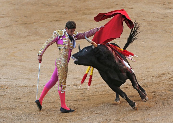 Hundreds hit streets of Barcelona to protest bullfighting return to ...