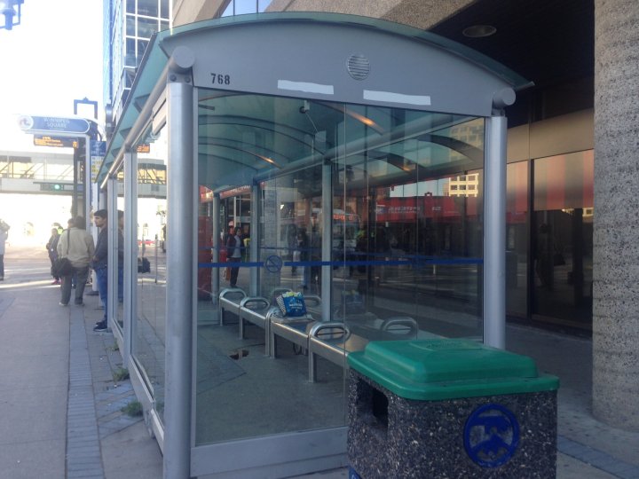 Winnipeg bus stops littered with interesting finds - Winnipeg ...