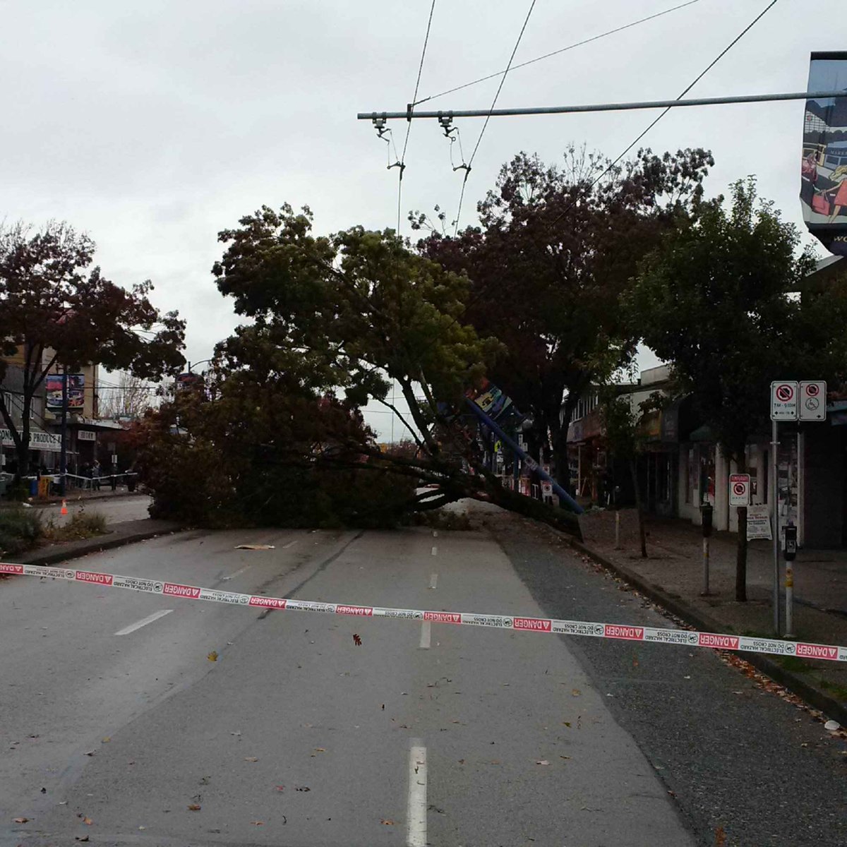 PHOTOS, VIDEO: Wild wind and rain leave destruction across B.C. South ...