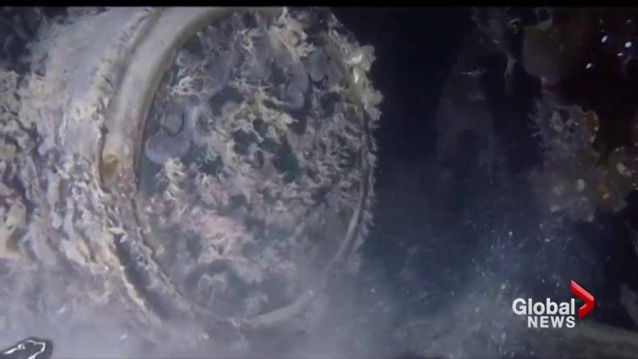 Group that found HMS Terror under investigation by Nunavut government ...