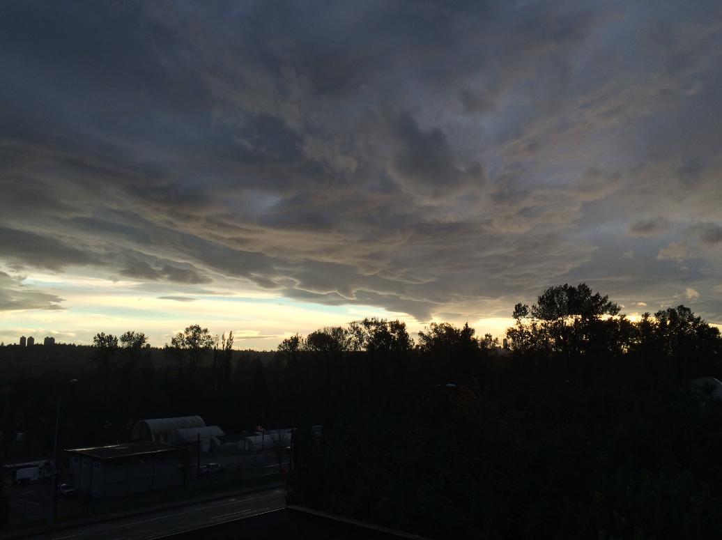 PHOTOS, VIDEO: Wild wind and rain leave destruction across B.C. South ...