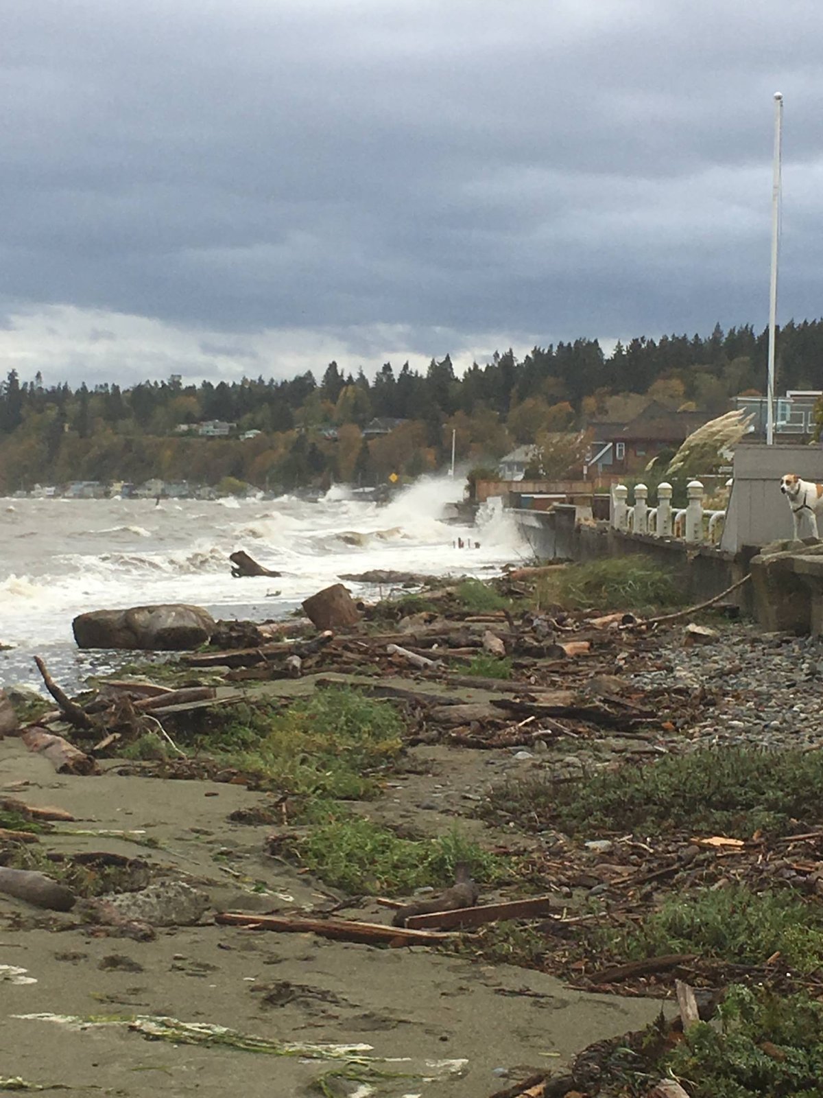 PHOTOS, VIDEO: Heavy wind and rain hit B.C.’s south coast in third of ...