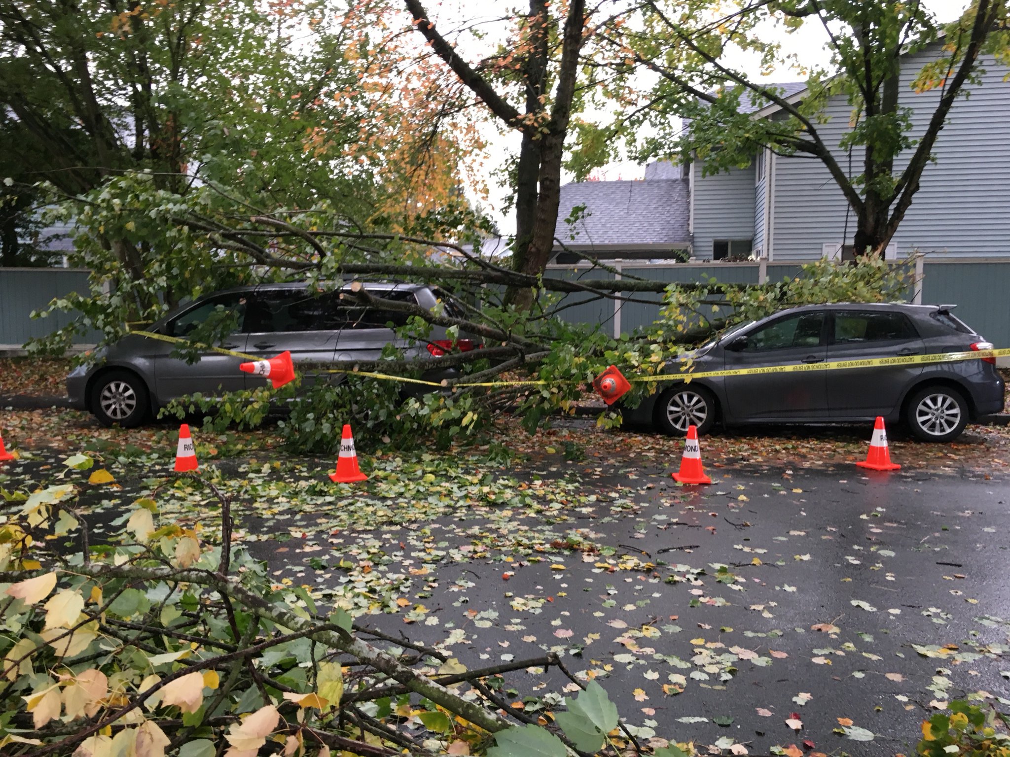 PHOTOS, VIDEO: Heavy wind and rain hit B.C.’s south coast in third of ...