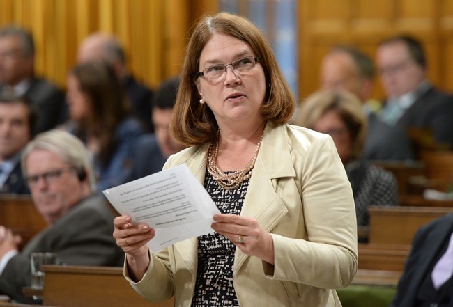 Provincial, territorial health ministers call for larger increase to ...