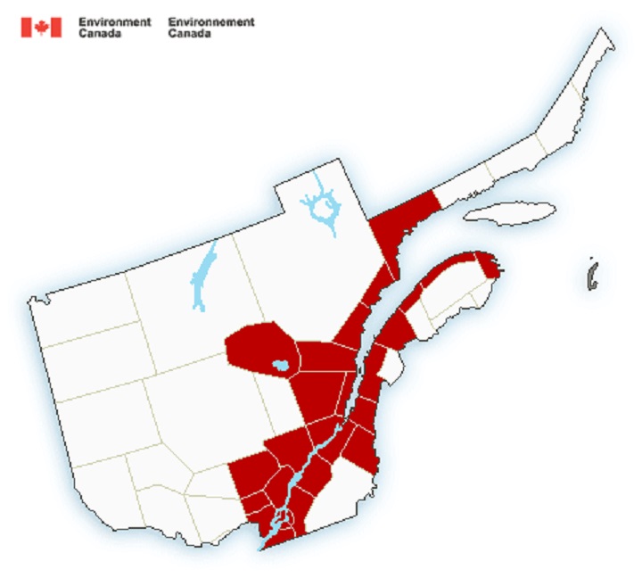 Rainfall warning issued for Montreal - Montreal | Globalnews.ca