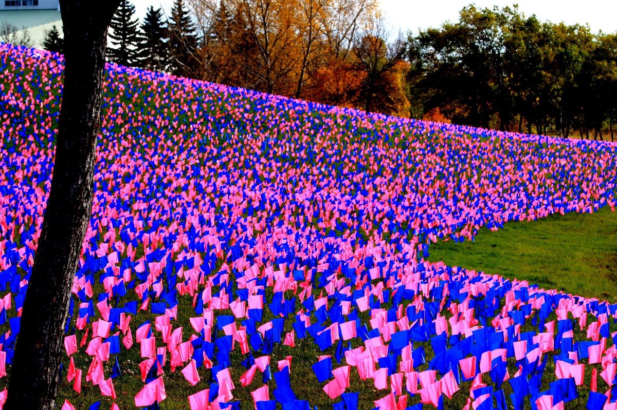 Anti-abortion group puts up 100,000 flags in Steinbach to spur ...