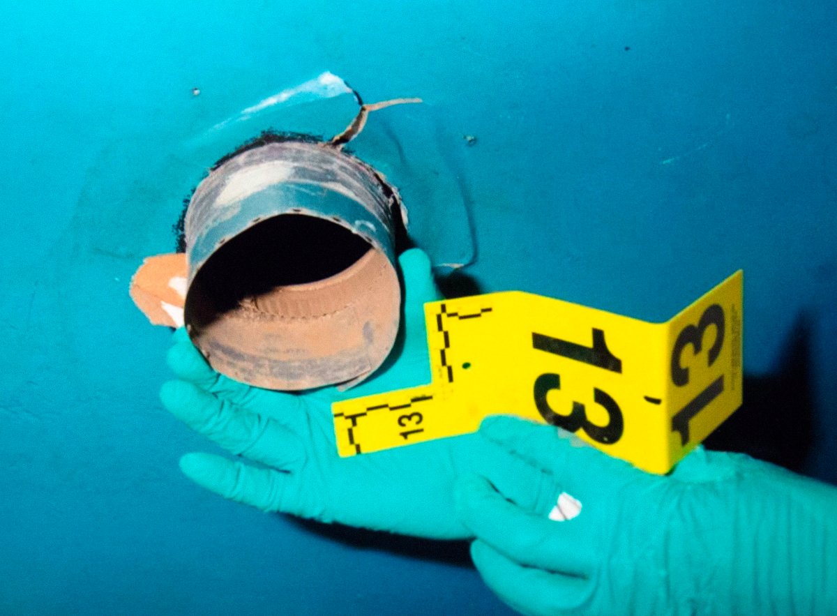 Python ‘coiled’ around N.B. brothers, repeatedly bit them, negligence ...