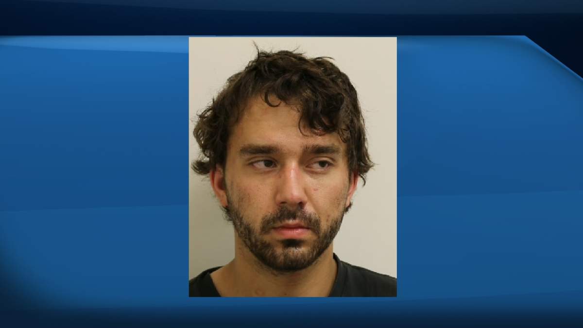 Alberta vehicle theft suspect arrested after leading police on low ...