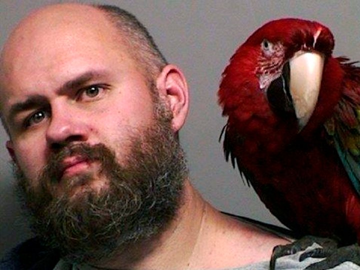 Bird the bird poses for mugshot with owner after his arrest - National ...