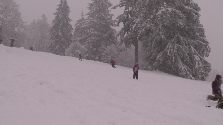 PHOTOS: Snow falls across Metro Vancouver for the first time in 1,000 ...