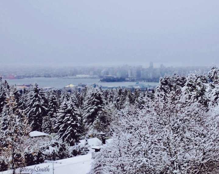 PHOTOS: Snow falls across Metro Vancouver for the first time in 1,000 ...