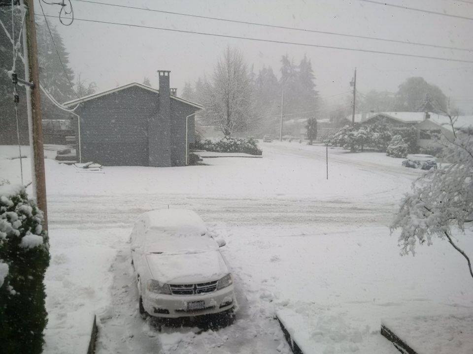 Snow falling in Metro Vancouver, Fraser Valley, Vancouver Island - BC ...