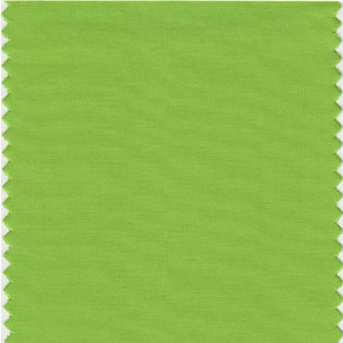 ‘Greenery’ named Pantone’s colour of the year for 2017 - National ...