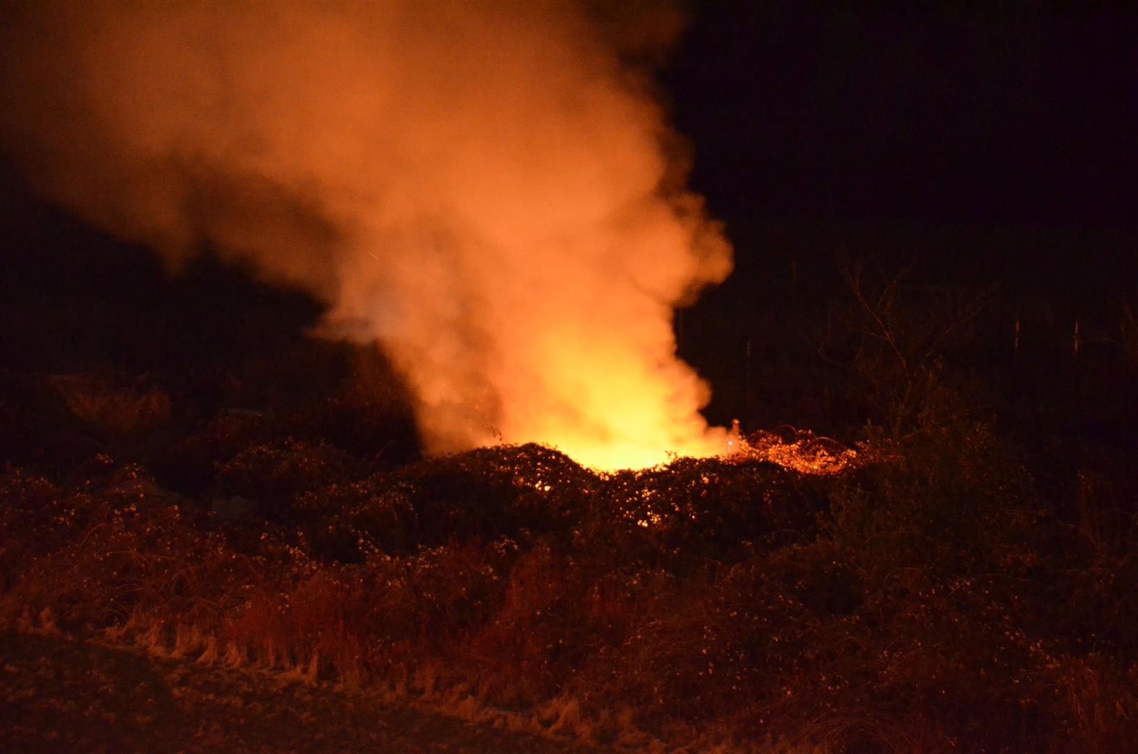 Langley fire believed to be sparked by homeless person trying to stay ...
