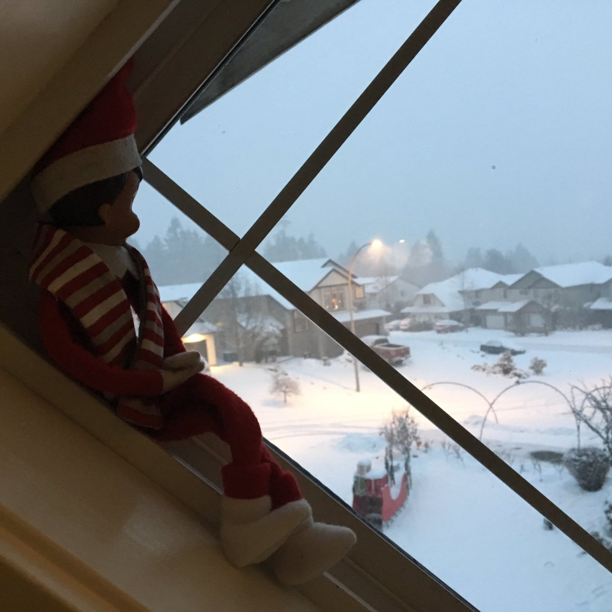 PHOTOS: Snow falls on Vancouver Island, Vancouver and the Fraser Valley ...
