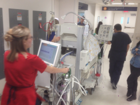 GlobalNews - Staff Personalities | Kelly Greig