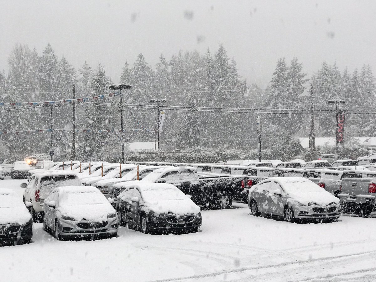 Snow on the way for Vancouver, Fraser Valley as temperatures plunge ...