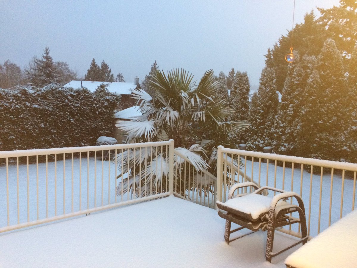 Snow falling in Metro Vancouver, Fraser Valley, Vancouver Island - BC ...