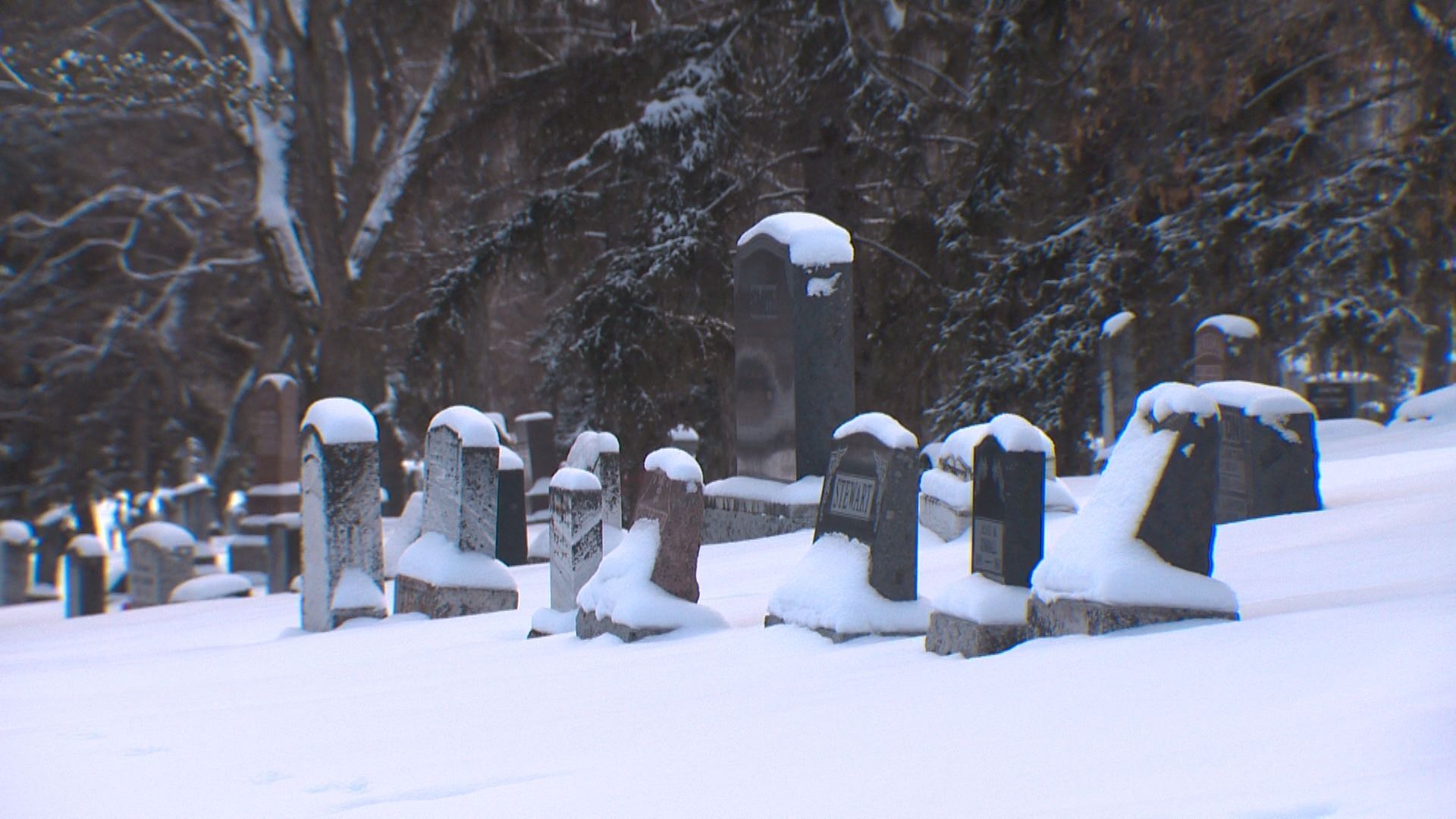 City of Edmonton Cemeteries seeking artist-in-residence - Edmonton ...