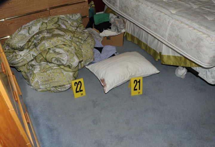 Liknes lock tampered with and disabled: expert testifies in Douglas ...