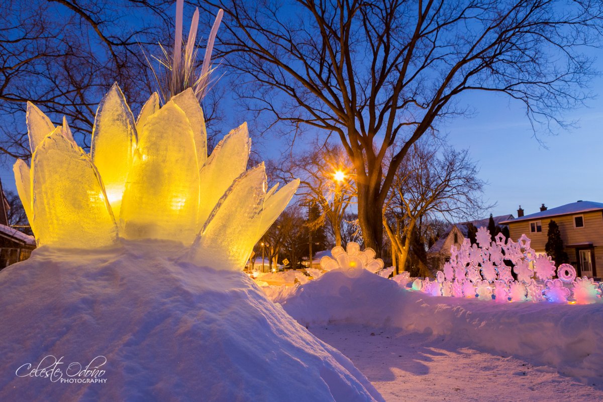Best ‘Your Manitoba’ photos in January 2017 - Winnipeg | Globalnews.ca