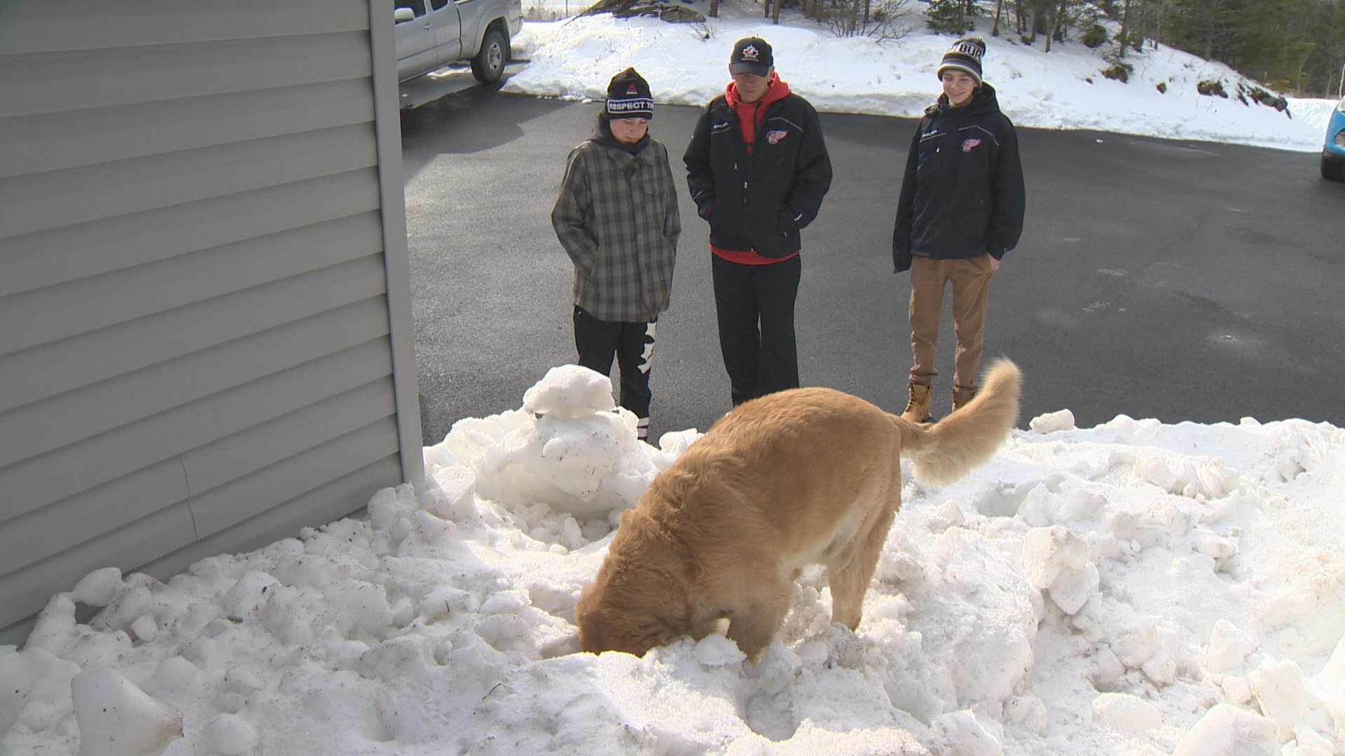 ‘Wasn’t our time’: 3 narrowly escape as snow fort collapses in N.S ...