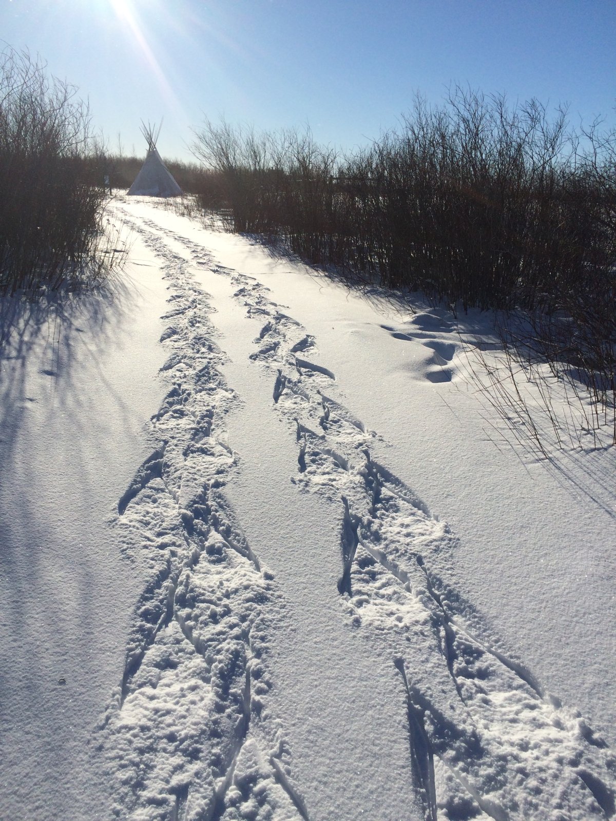 Best ‘Your Manitoba’ photos in January 2017 - Winnipeg | Globalnews.ca