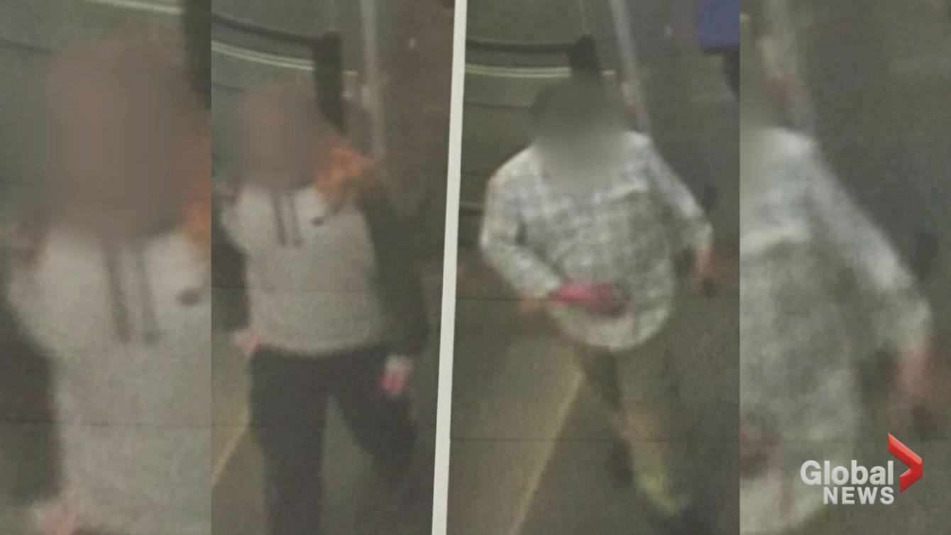 11 people pass through unmanned TSA checkpoint at JFK Airport in New ...