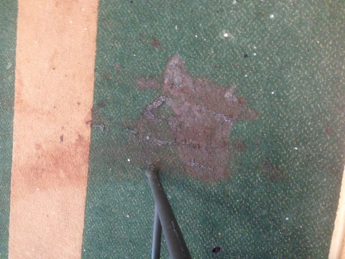 Quebec City mosque left with blood stains, bullet holes after deadly ...