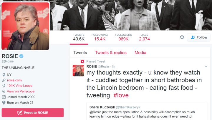 Rosie O’Donnell makes a perfect Steve Bannon in uncanny Twitter photo ...