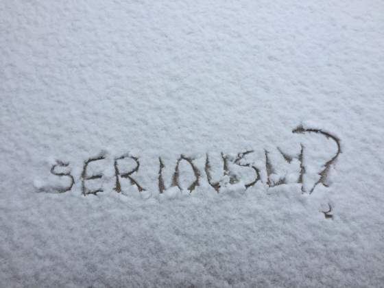 GlobalNews - Staff Personalities | Mark Madryga