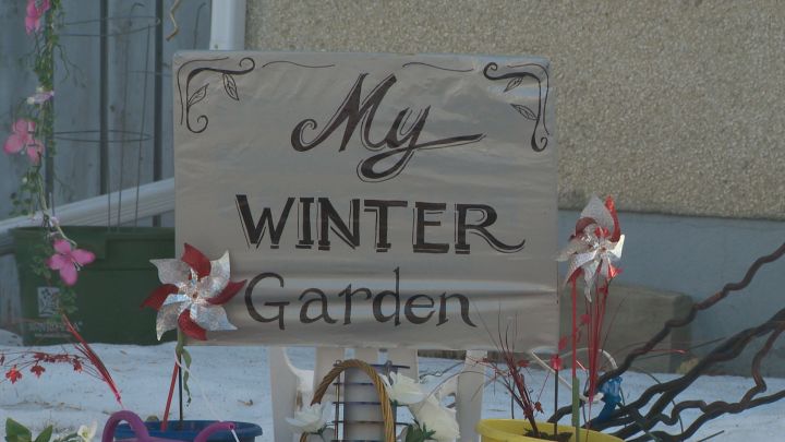 WinterCity Strategy: 7 things Edmonton has done to embrace winter and ...