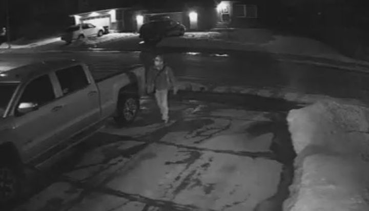 Calgary homeowner’s surveillance video shows apparent car prowler in ...