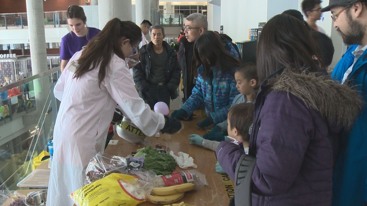 In Photos: Edmonton students experiment with sciences at U of A ...