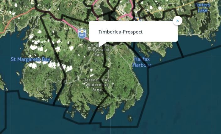 Nova Scotia Election: Timberlea-Prospect candidates - Halifax ...