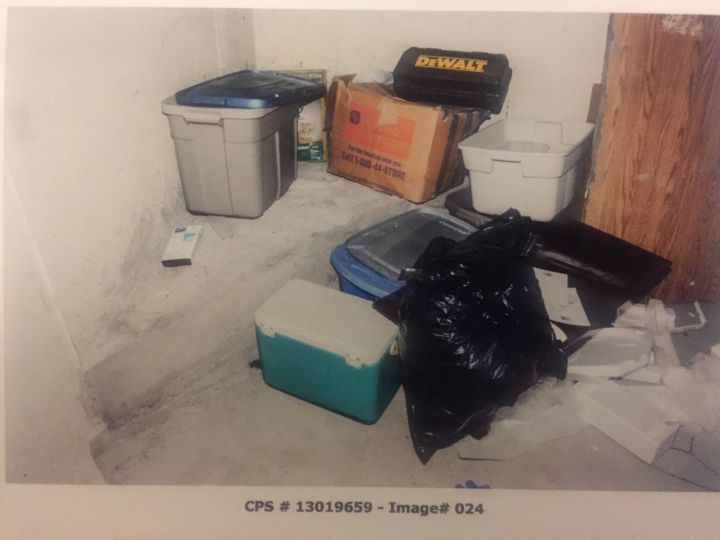 Calgary man accused of killing common-law wife Lisa Mitchell, hiding ...