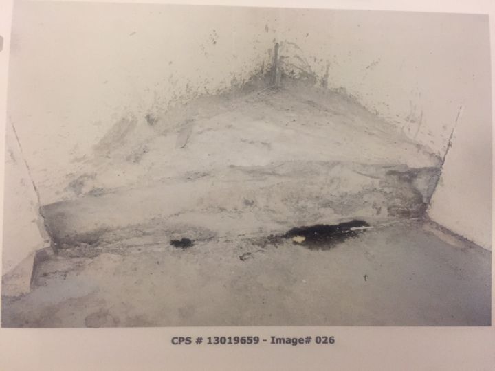 Calgary man accused of killing common-law wife Lisa Mitchell, hiding ...