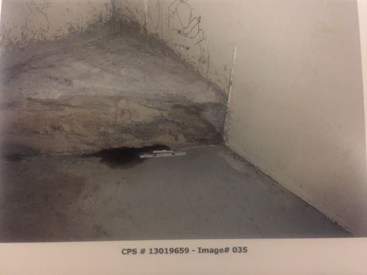 Calgary man accused of killing common-law wife Lisa Mitchell, hiding ...