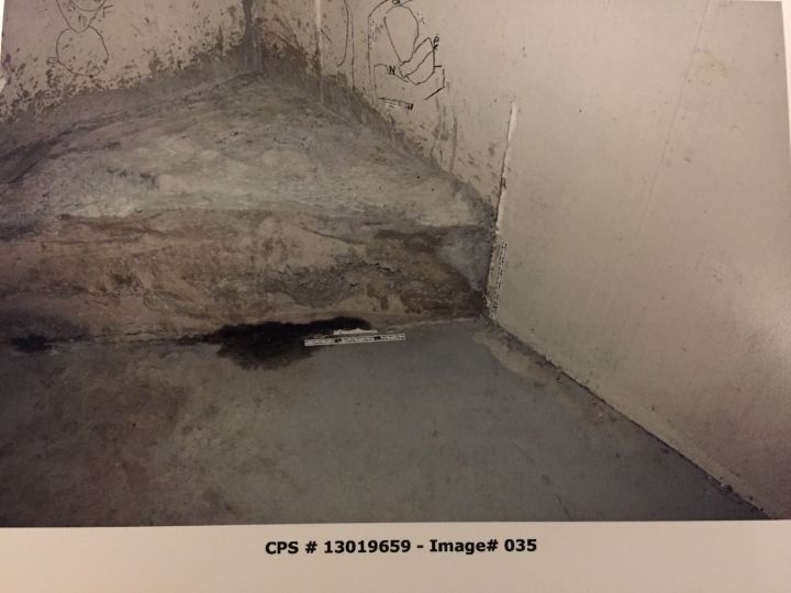 Calgary man accused of killing common-law wife Lisa Mitchell, hiding ...