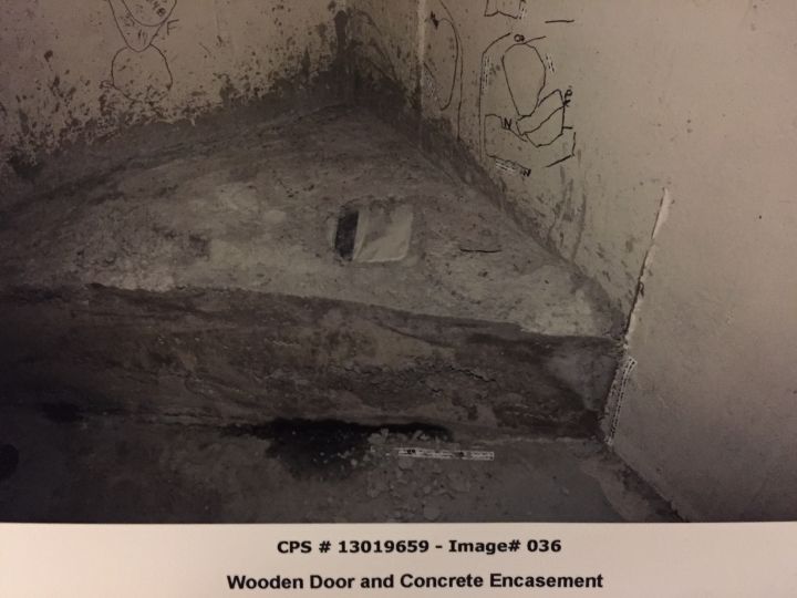 Calgary man accused of killing common-law wife Lisa Mitchell, hiding ...