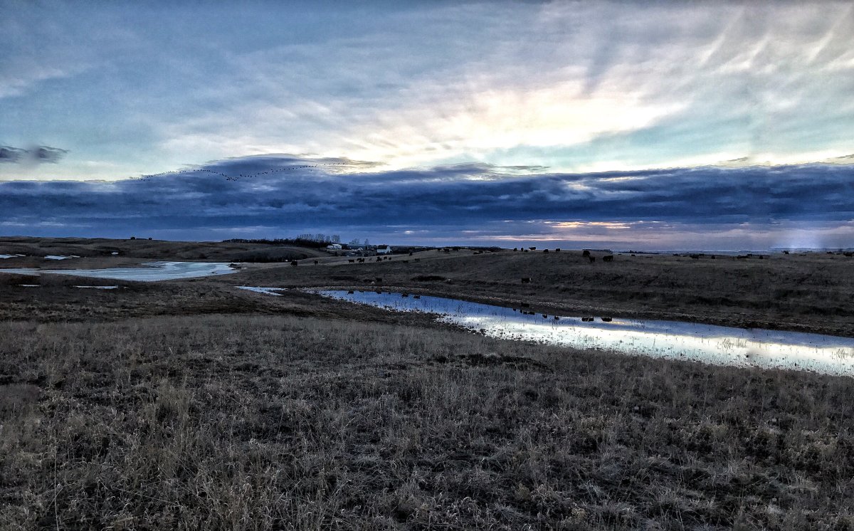 Your Saskatchewan – Regina: April 2017 - Regina | Globalnews.ca