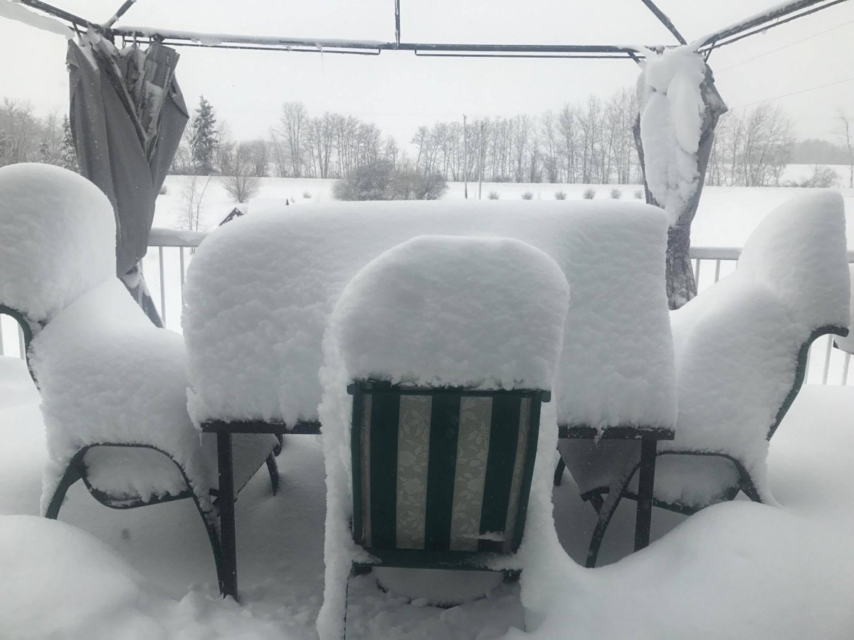 In Photos: Albertans make the most of snowy Easter weekend | Globalnews.ca