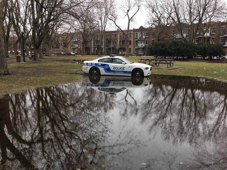Montreal police cruiser stuck in mud at Baldwin Park - Montreal ...