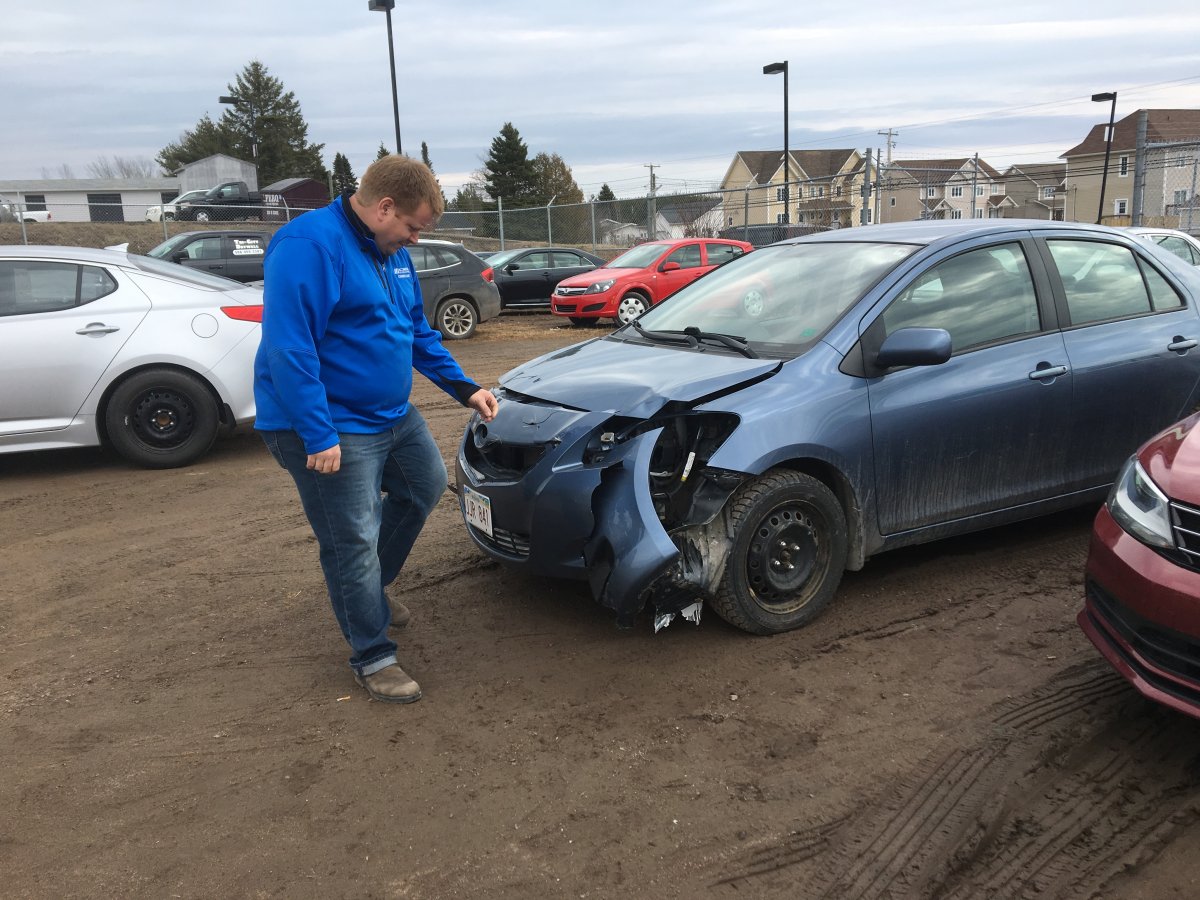 Collisions with animals on N.B. roads have nearly doubled this spring ...
