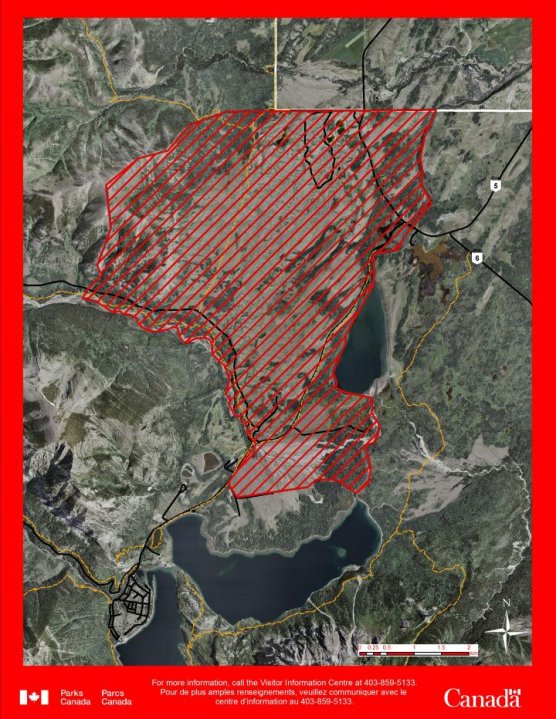 Parks Canada plans prescribed fire in Waterton Lakes National Park ...