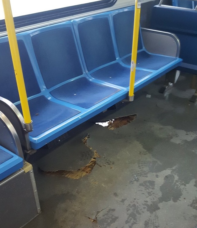 London Transit Commission investigating damage after rider posts photo ...