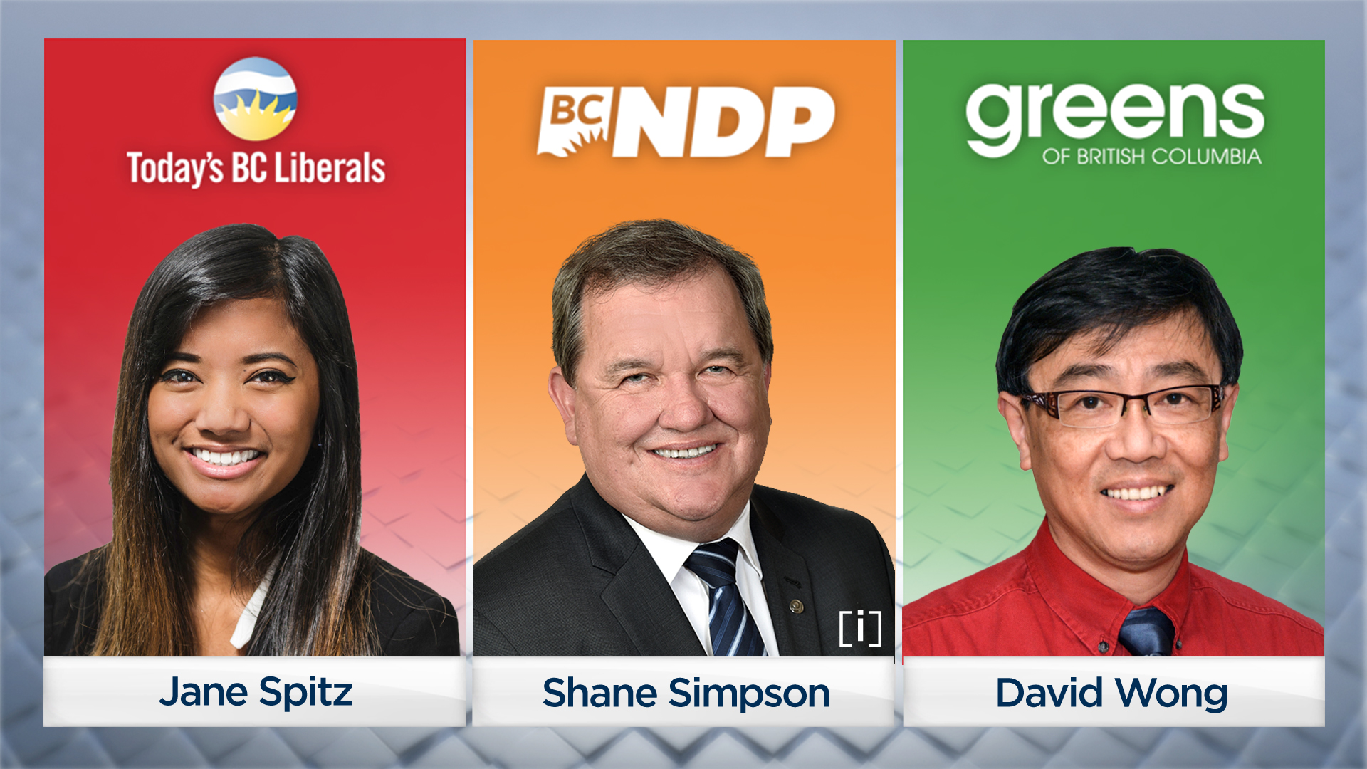 B.C. election 2017: Vancouver-Hastings riding | Globalnews.ca