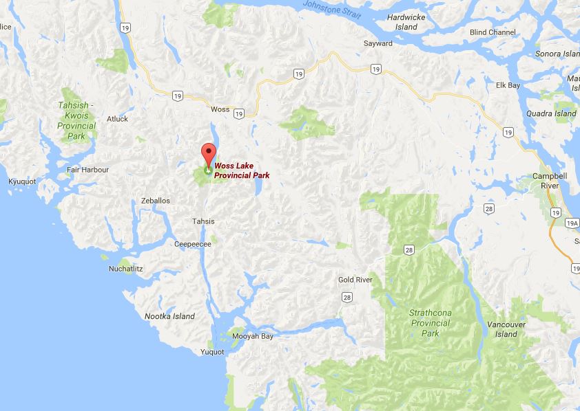 Third person dies following train derailment near Woss Lake | Globalnews.ca